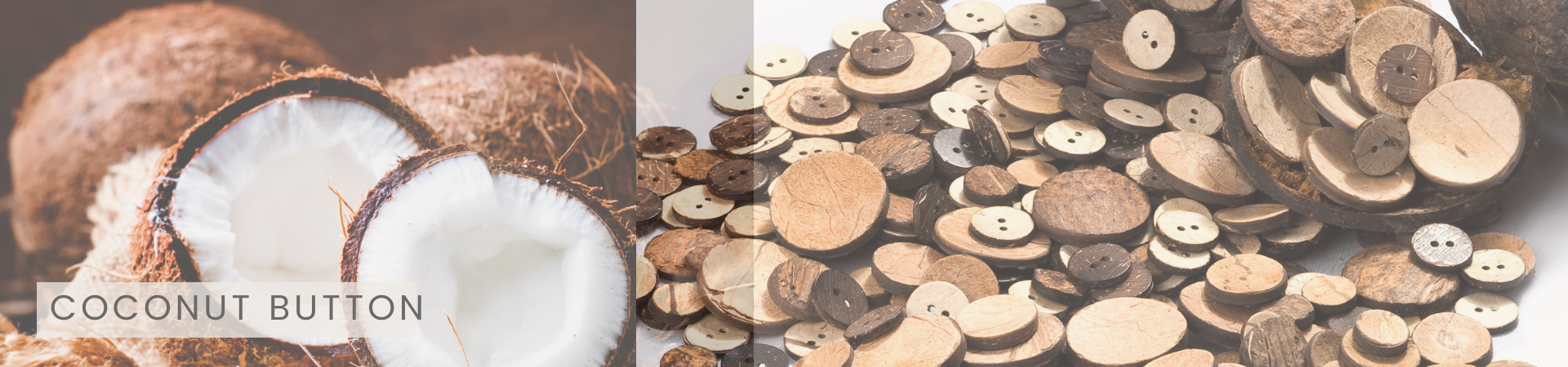 Coconut Buttons Models